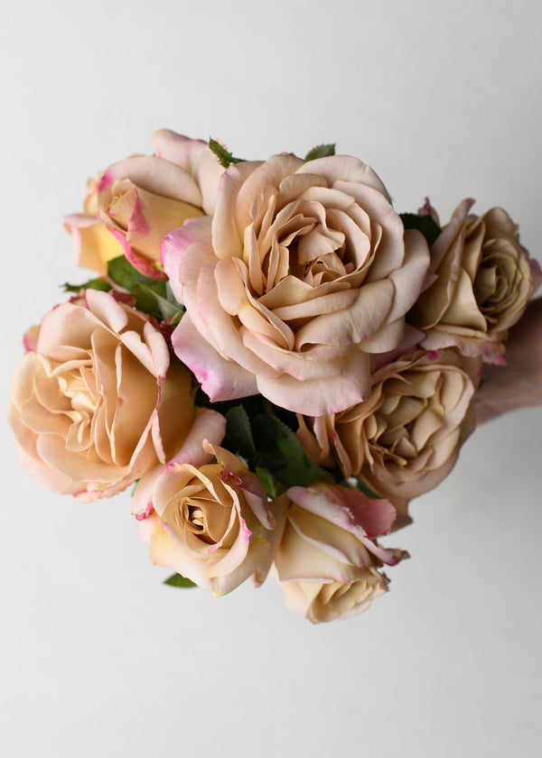 Bare Root Roses In Golden + Butter Shades - Vibrant & Warm Colored ...